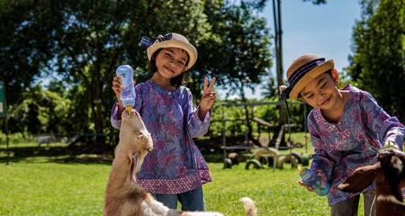 Sably Goat Haven - MalaysiaTravel
