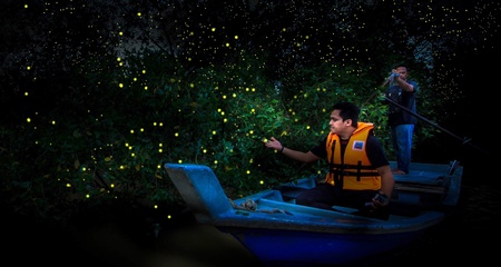 Kuala Selangor Firefly Cruise